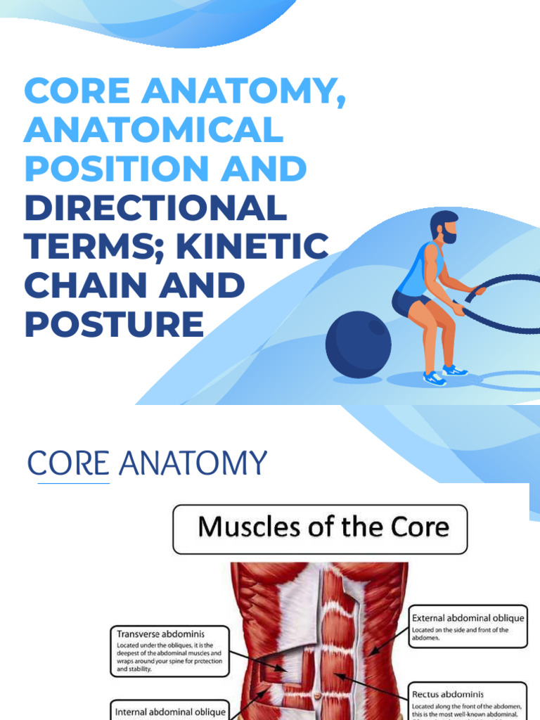 CORE ANATOMY, ANATOMICAL POSITION AND DIRECTIONAL TERMS; KINETIC CHAIN ...