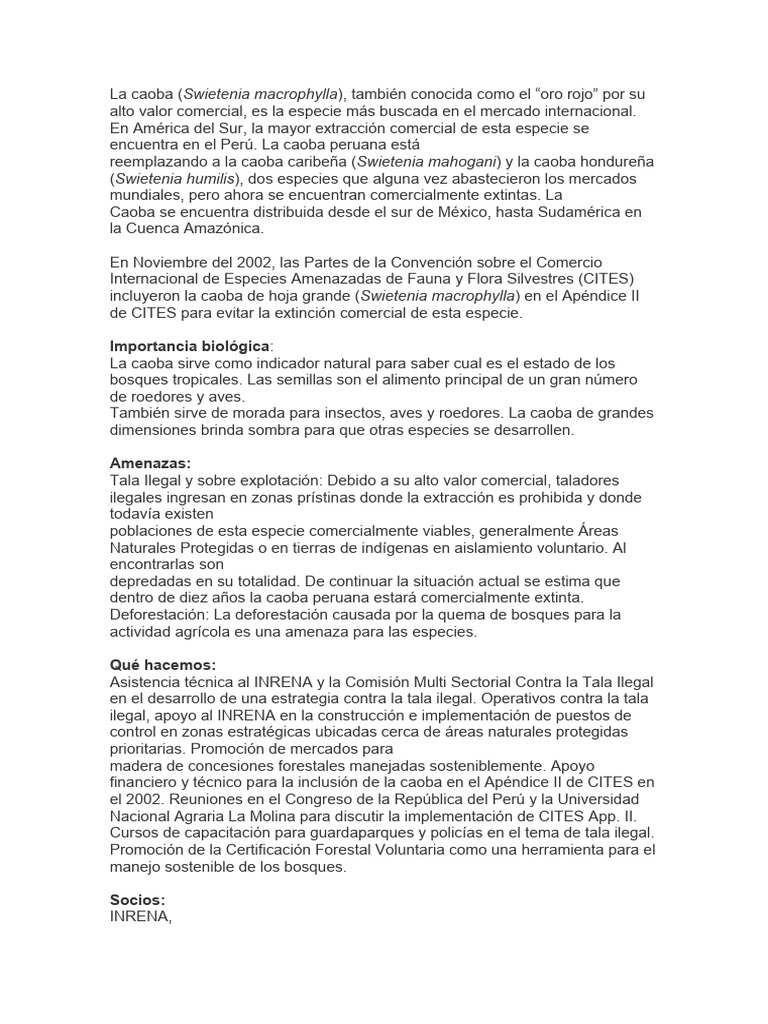 El Concepto de Caoba | PDF | Deforestación | Perú