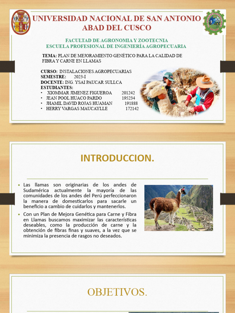 PLAN DE MEJORAMIENTO GENETICO EN LLAMAS (2) | PDF | Carne | Boca