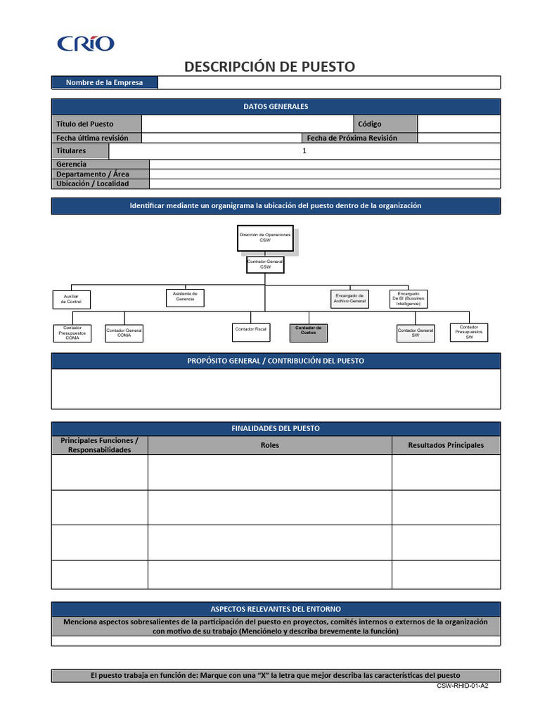 Formato de Descripción de Puesto | PDF | Presupuesto | Informática