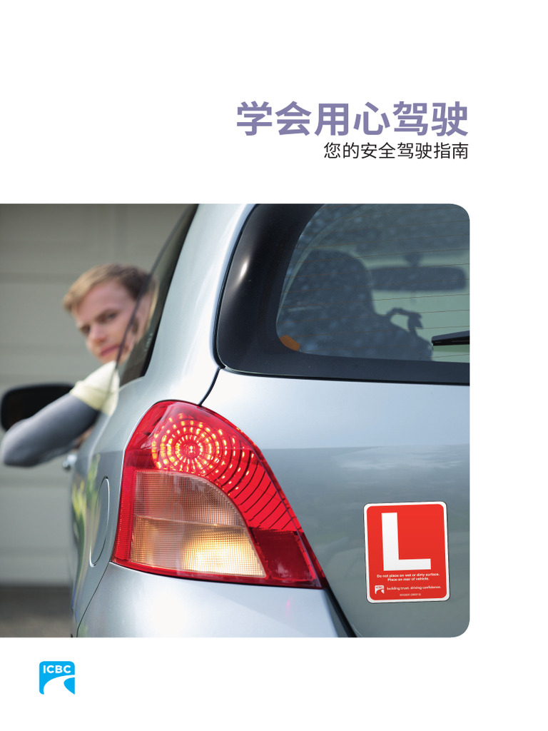 Driver Full Chinese | PDF