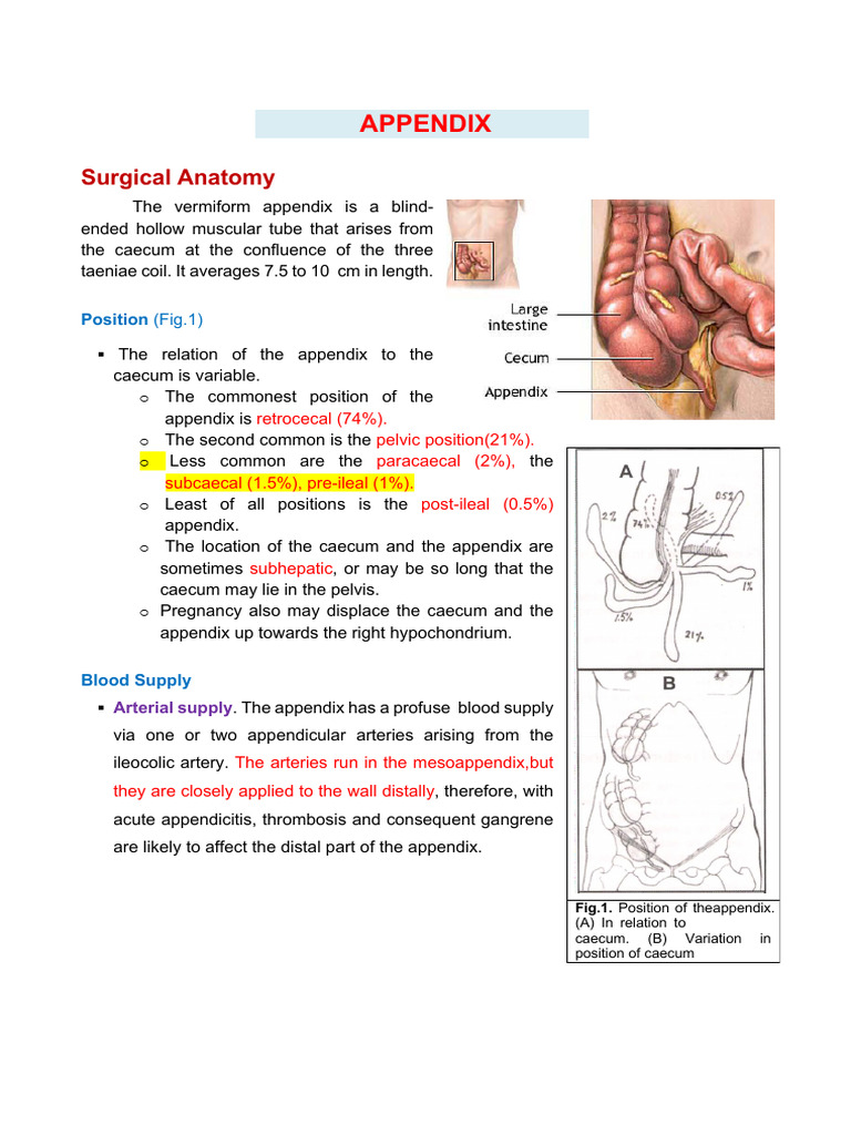 Appendix | PDF