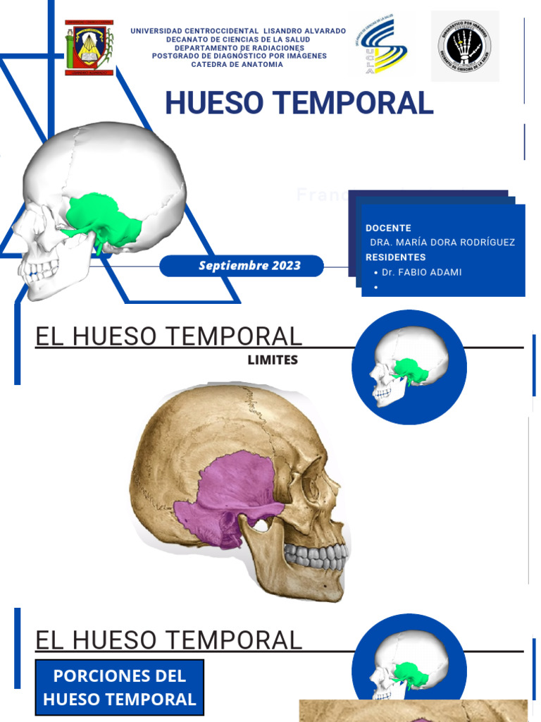 Hueso Temporal | PDF