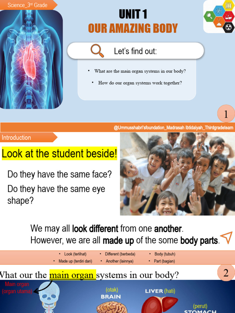 Sains Unit 1. Our Amazing Body - Third Grade | PDF
