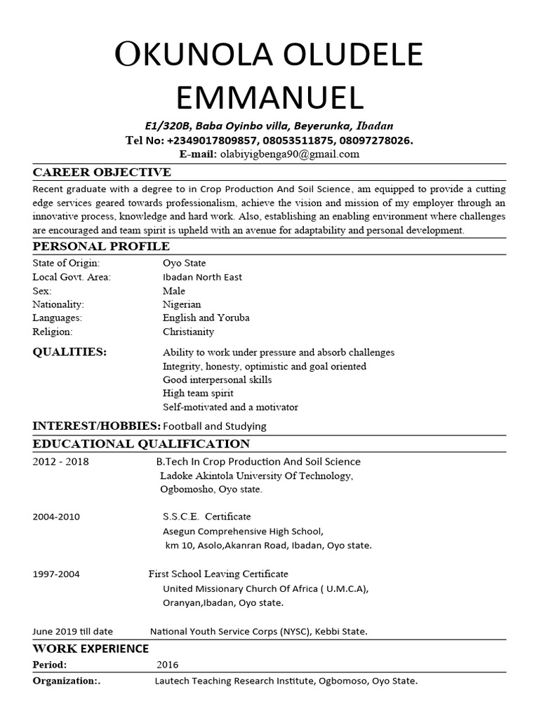 CV Original - 1 | PDF