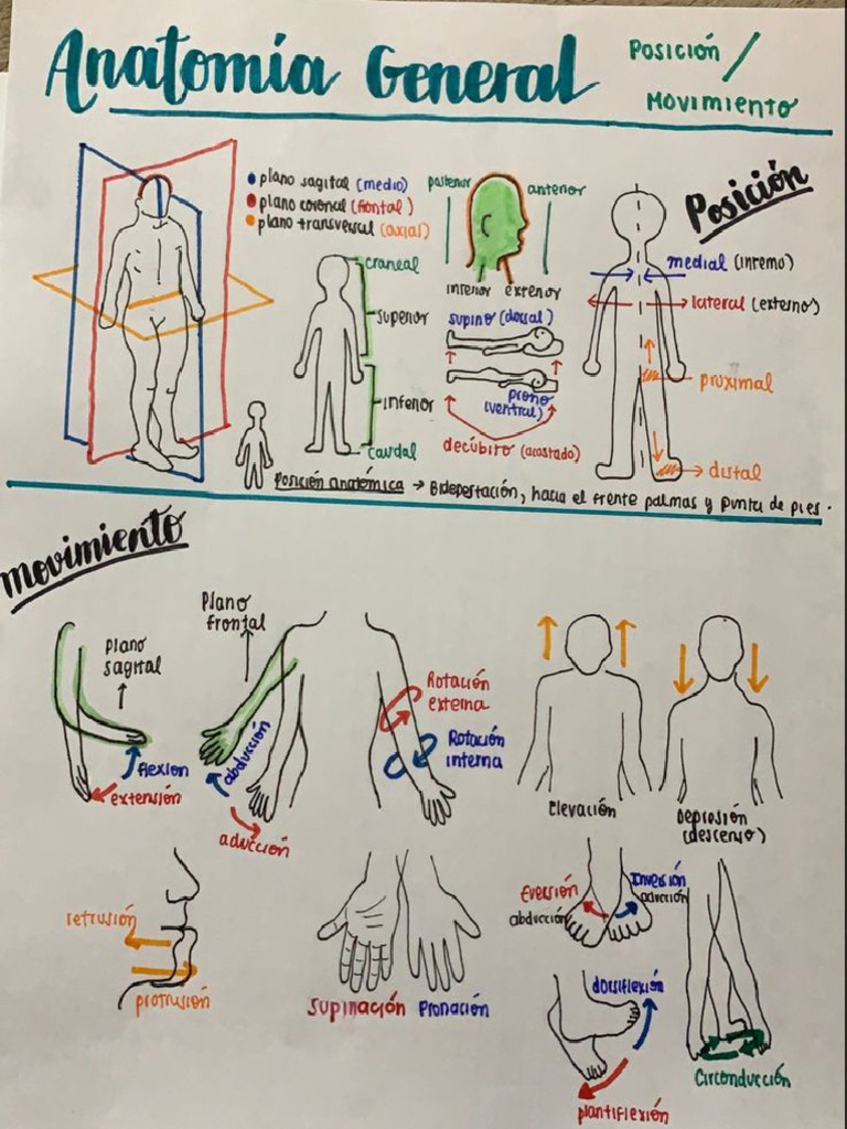 Medicina Escan 938 | PDF