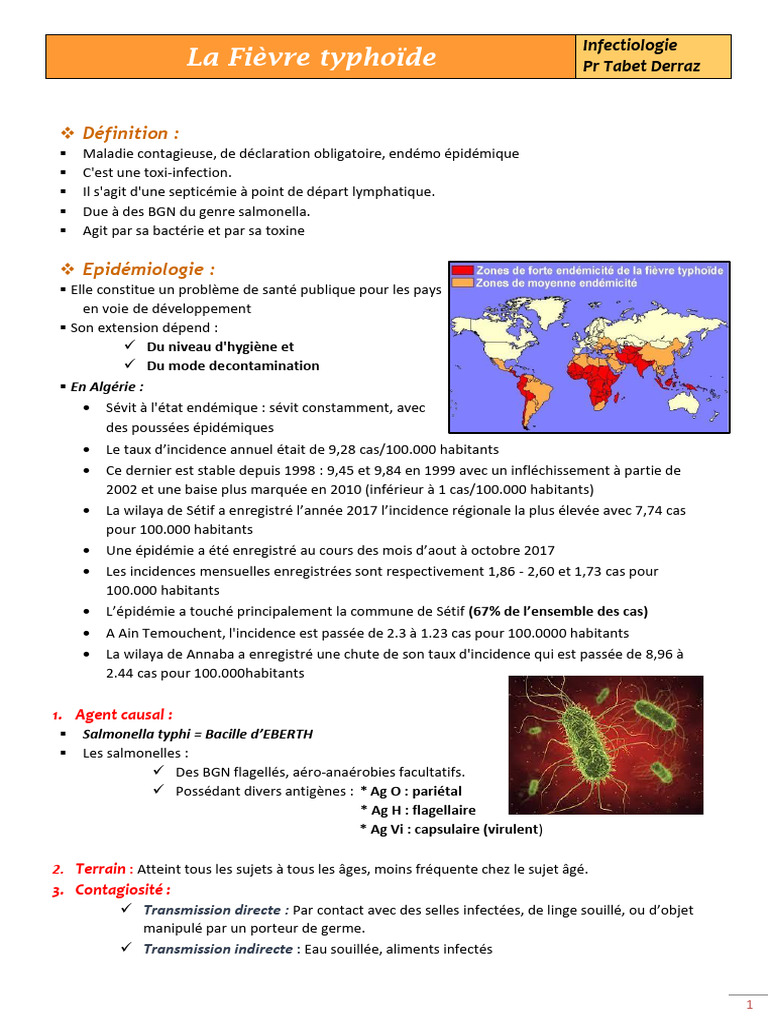 4.La Fièvre Typhoïde | PDF