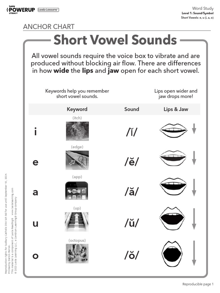Short Vowel Sounds Anchor Chart | PDF