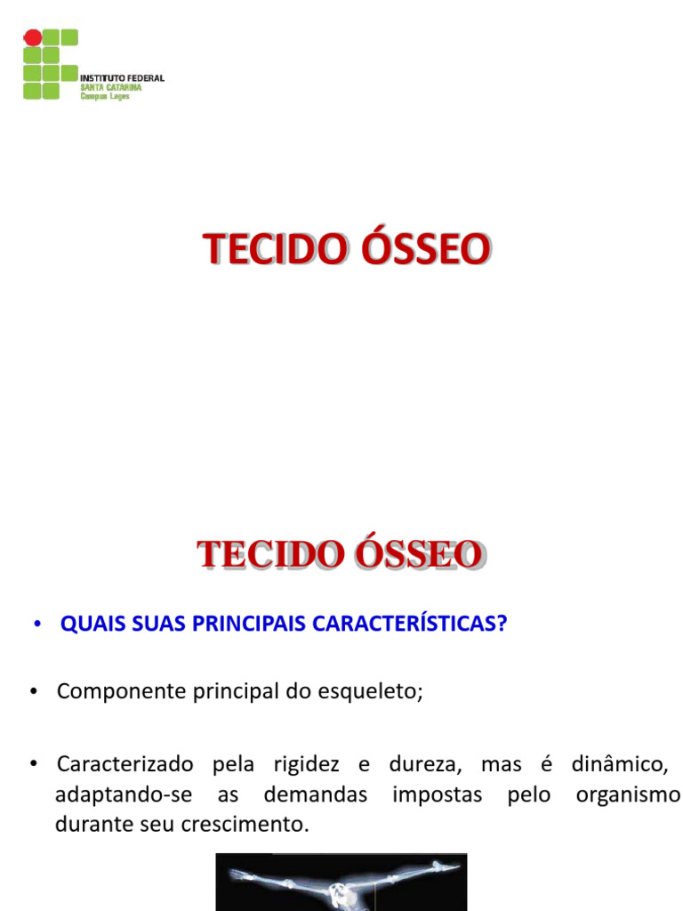 Aula 2 - Tecido Osseo2 | PDF | Osso | Anatomia