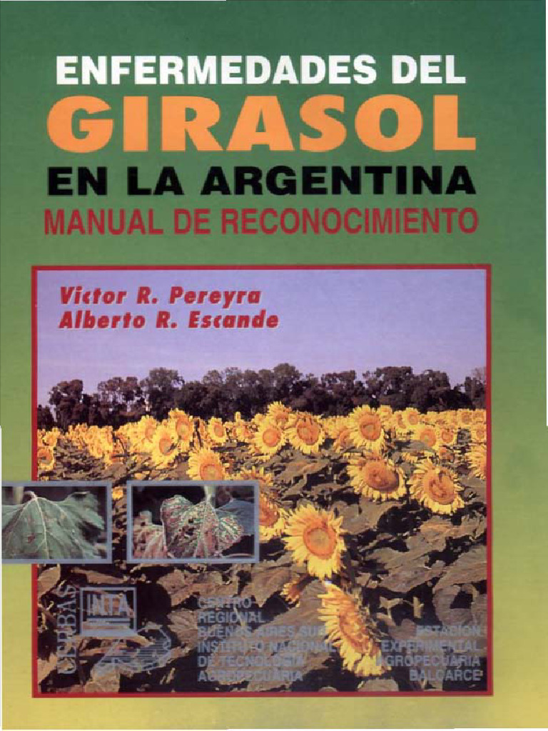 Girasol | PDF