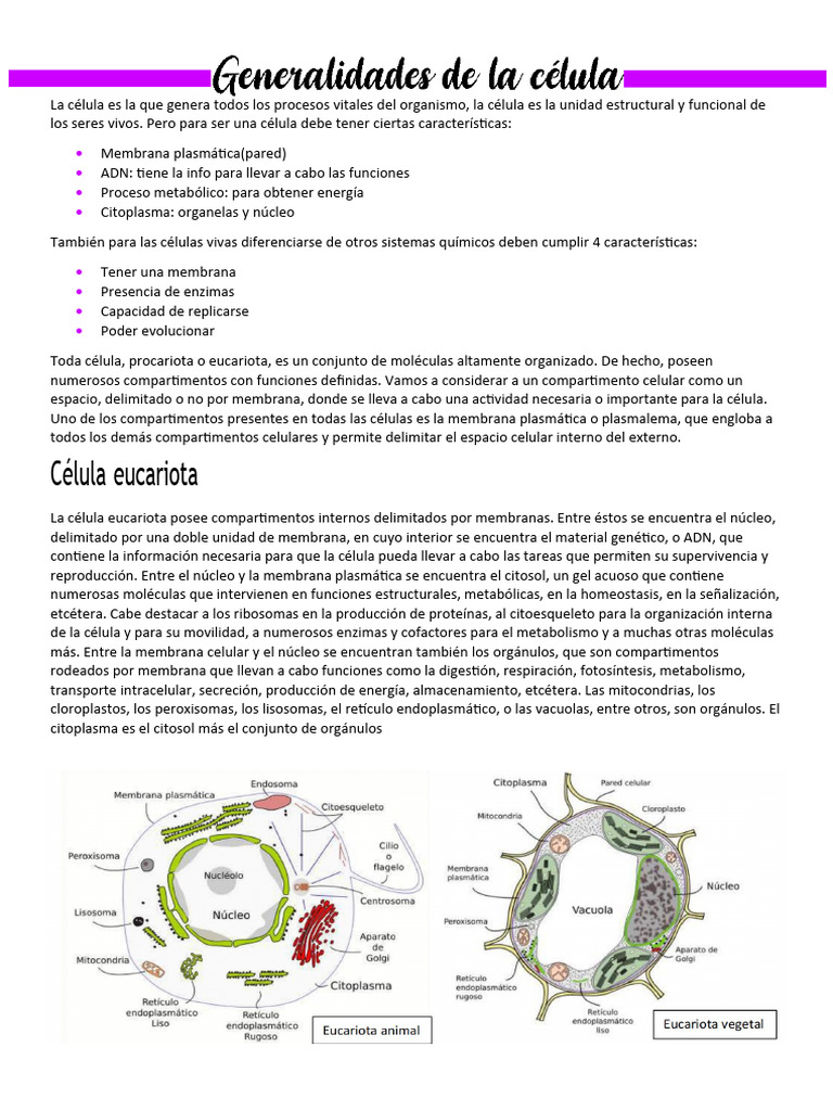 Generalidades de La 567631 Downloadable 4210899 | PDF | Biología Celular) | Membrana celular