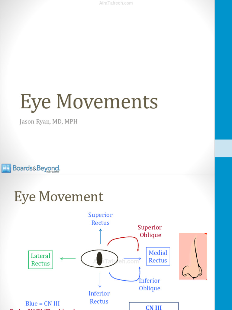 Eye Movements Atf | PDF | Medical Specialties | Vision