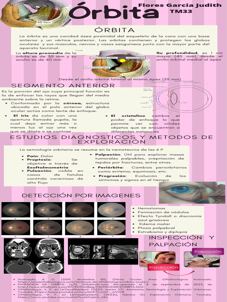 Orbita Infografia | PDF | Ojo humano | Oftalmología