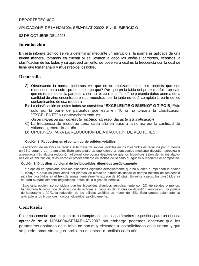Reporte Tecnico de Ingenieria | PDF