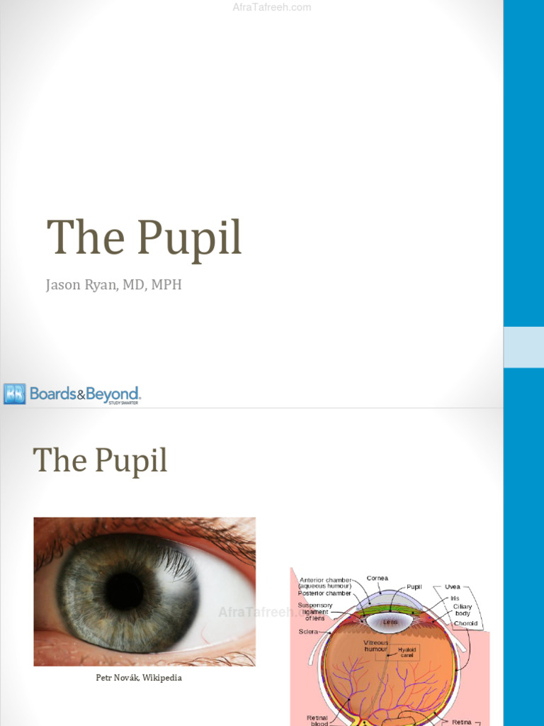 The Pupil Atf | PDF