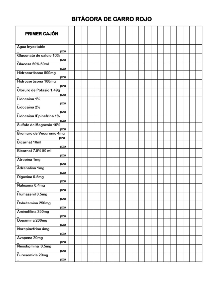 Bitácora de Carro Rojo | PDF