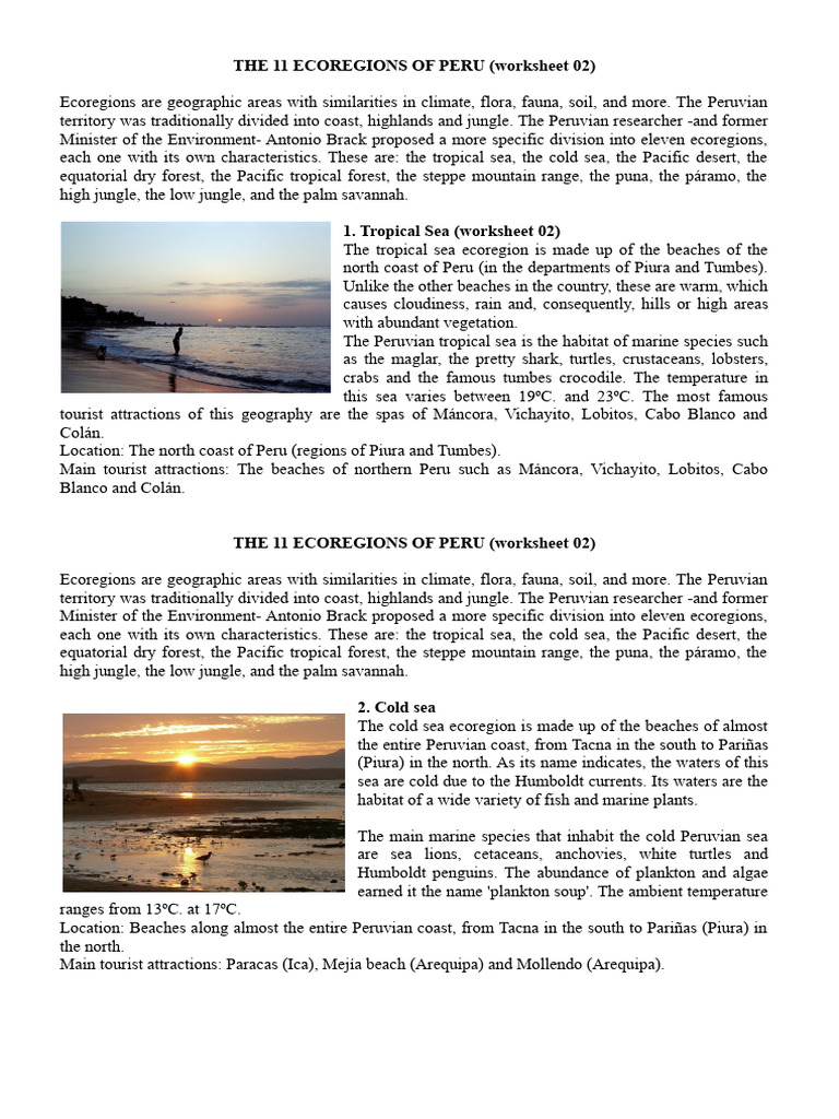 The 11 Ecoregions of Peru_worksheet 02 | PDF | Andes | Peru