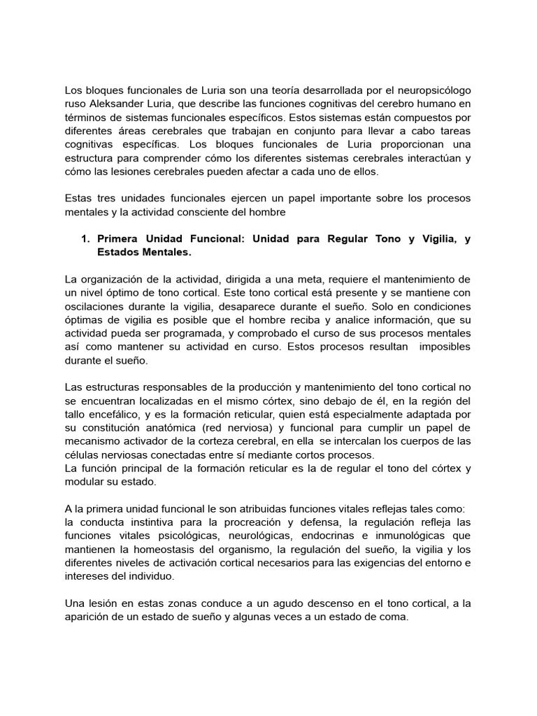 Bloques Funcionales de Luria | PDF