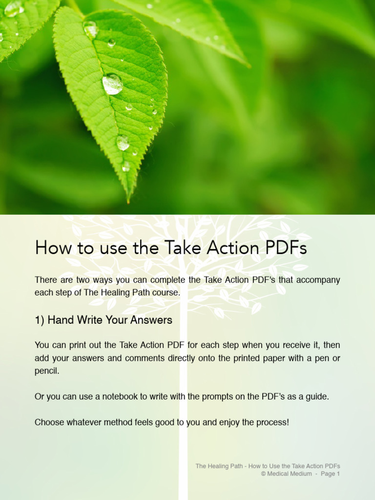 How To Use Take Action PDFs | PDF
