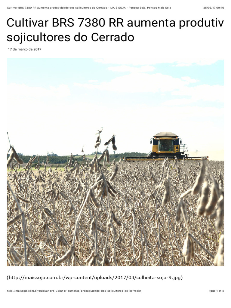 Cultivar BRS 7380 RR Aumenta Produtividade Dos Sojicultores Do Cerrado ...