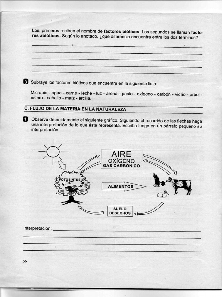 3 Taller Flujo de Materia y Energia en Ecosistemas20230803 - 16495212 | PDF