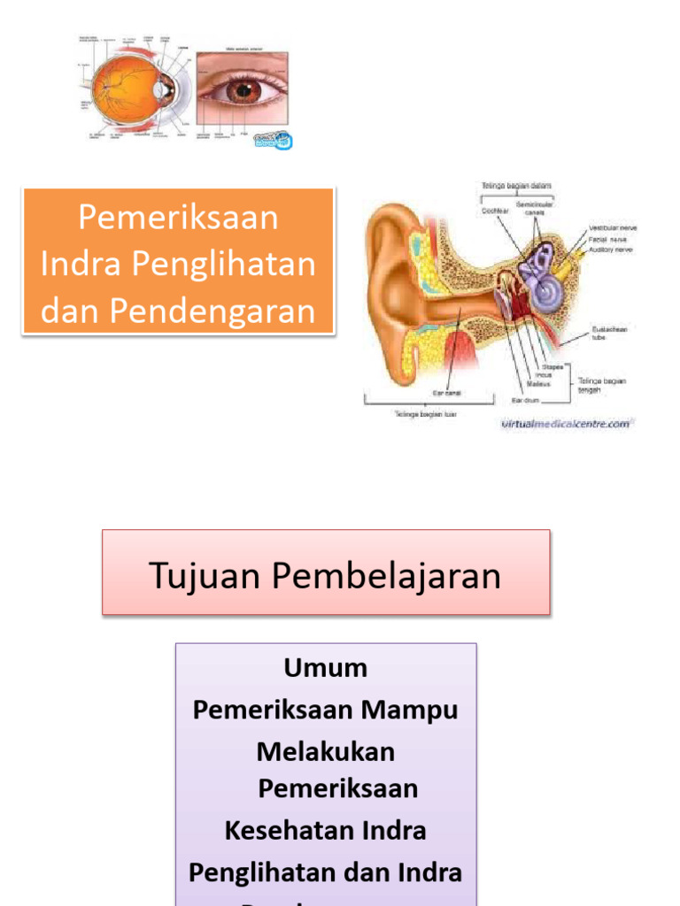 Tempelate 8. Pemeriksaan Indra Penglihatan Dan Pendengaran | PDF