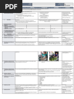 Grade 5 DLL EPP 5 Q4 Week 1 | PDF