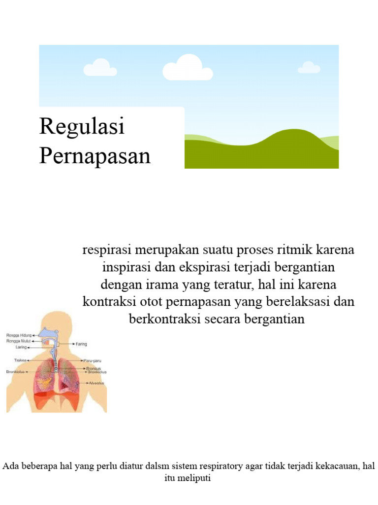 Regulasi Pernapasan | PDF