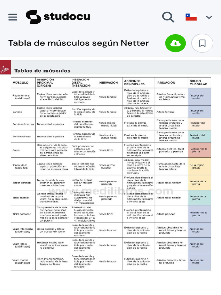 Tabla de Músculos Según Netter - Tablas de Rosis Epicraneal de La Oreja ...