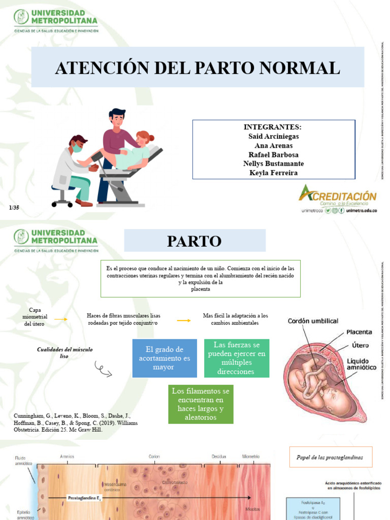 Parto Normal Definitivo | PDF | Parto | Anatomía