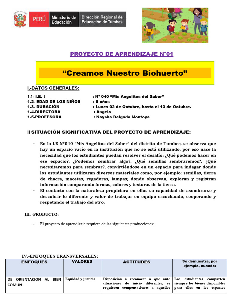 Proyecto de Aprendizaje | PDF