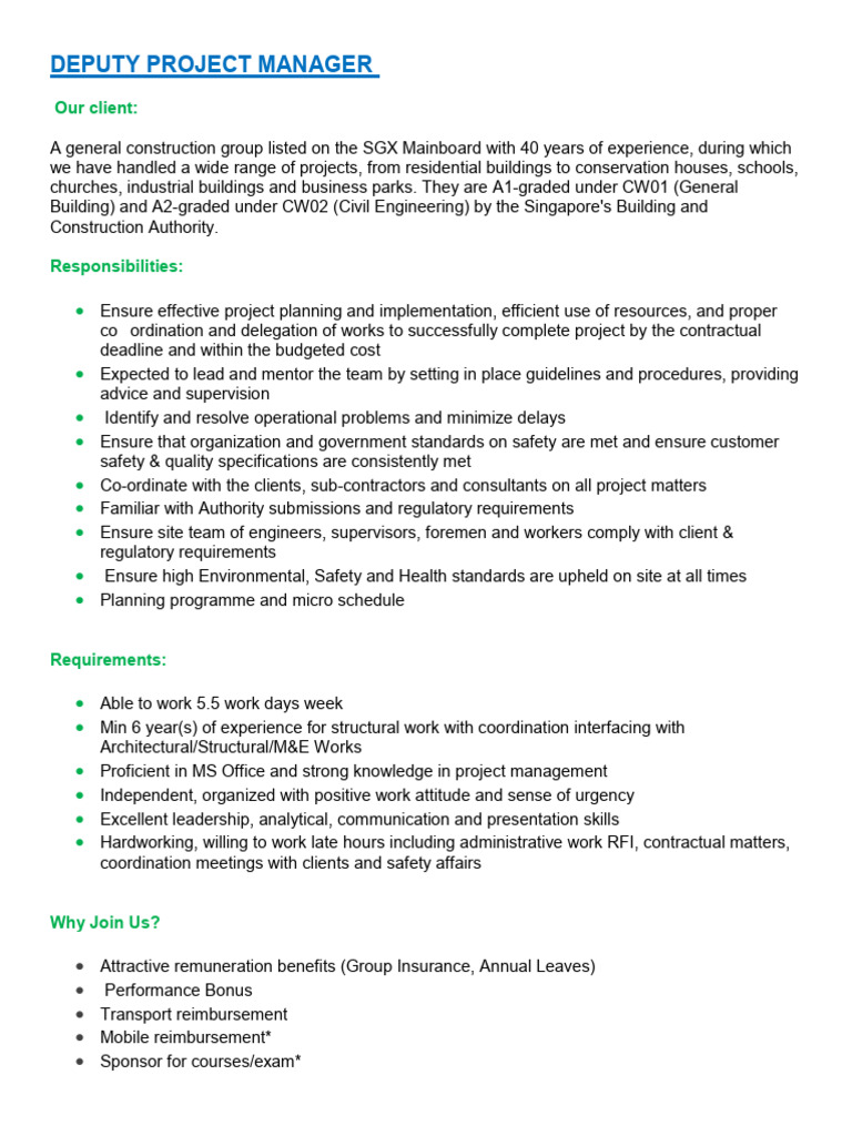 Job Description - Deputy Project Manager | PDF