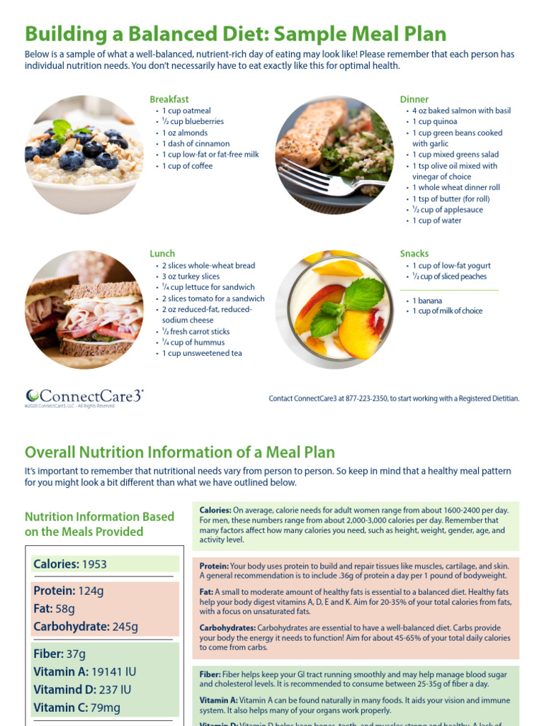 Sample Meal Plan | PDF | Fat | Food Energy