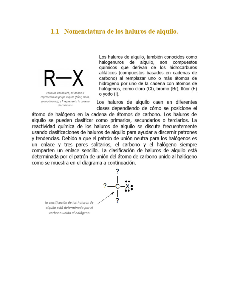 Nomenclatura de Los Haluros de Alquilo - TEMA 1 ORG | PDF