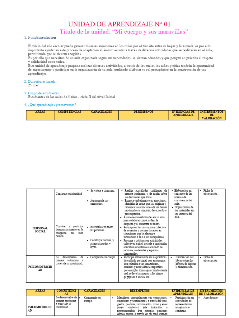 Unidad de Aprendizaje 5 Años | PDF