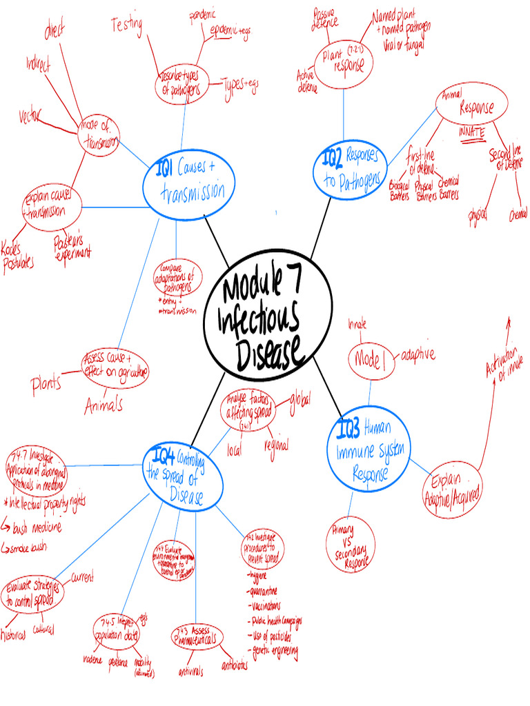 Module 7 Mind Map | PDF
