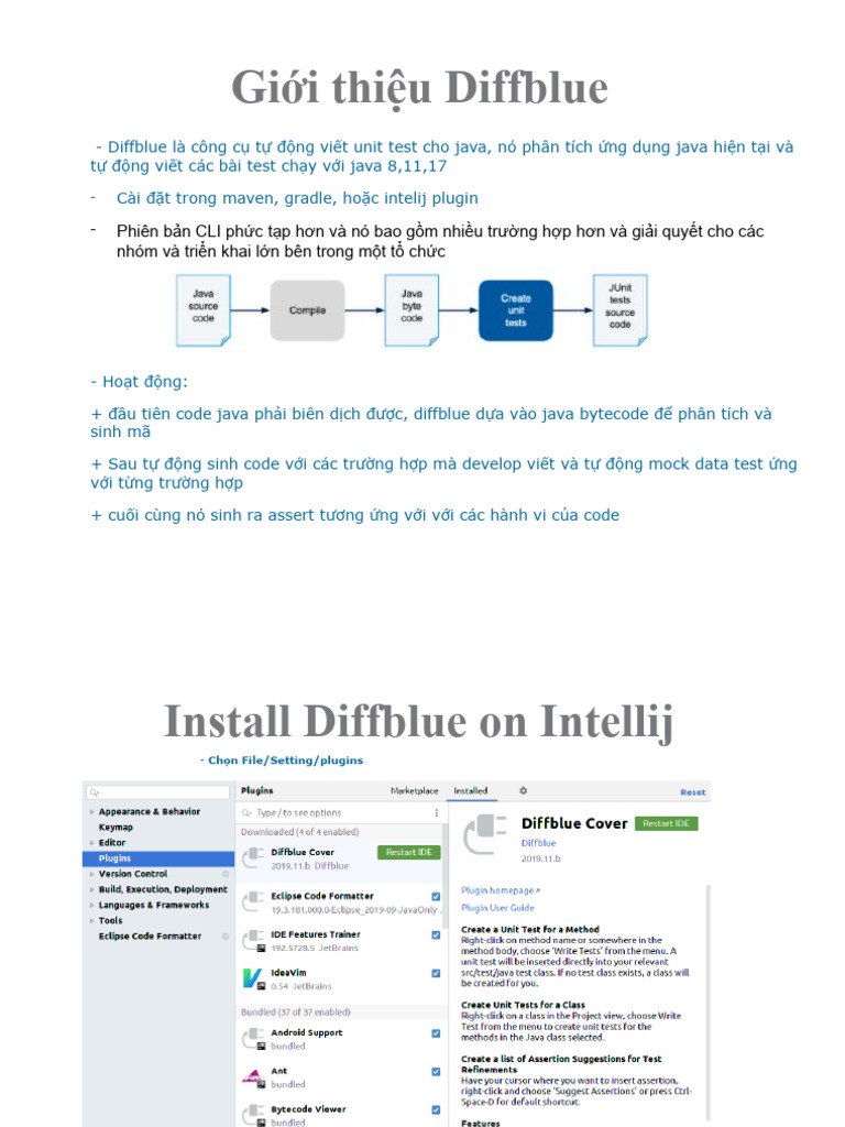 Diffblue Guide Line | PDF