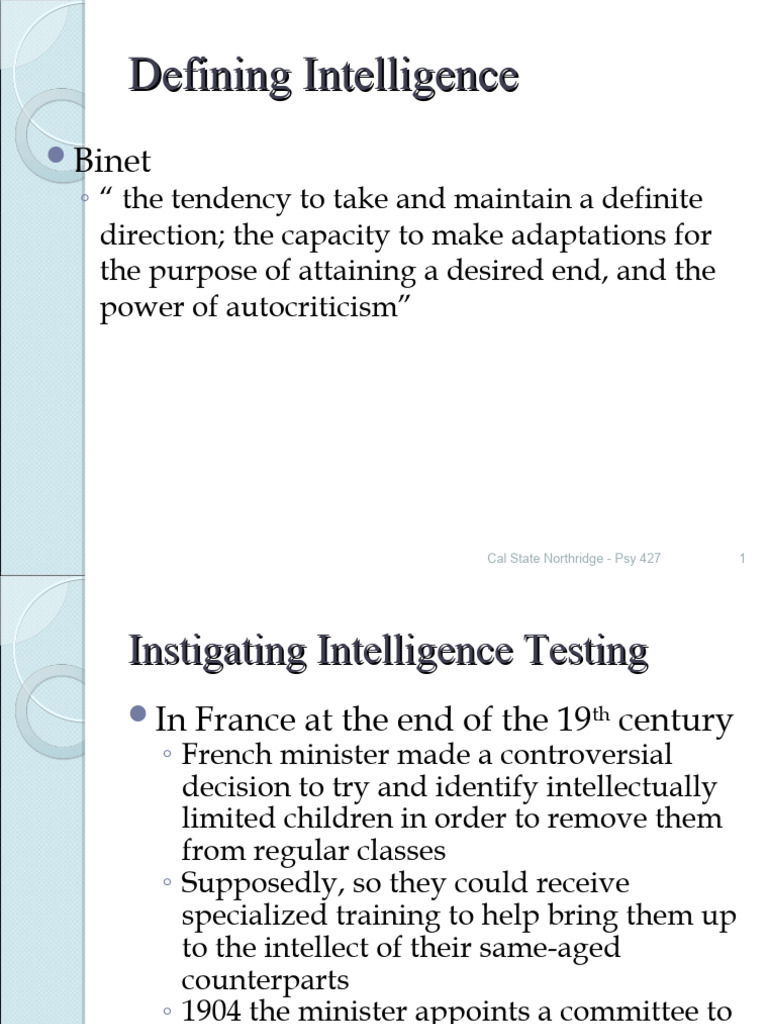 Stanford Binet Scales | PDF