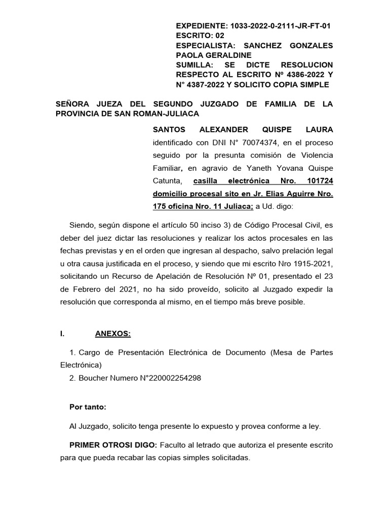 Copias Simples | PDF