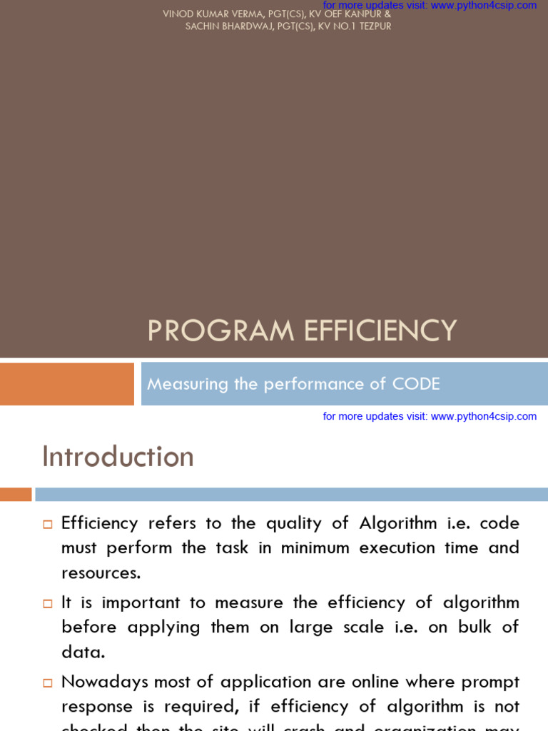 Program Efficiency | PDF