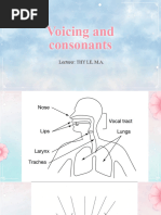SG S DFG G SDF | PDF | Phonetics | Human Voice