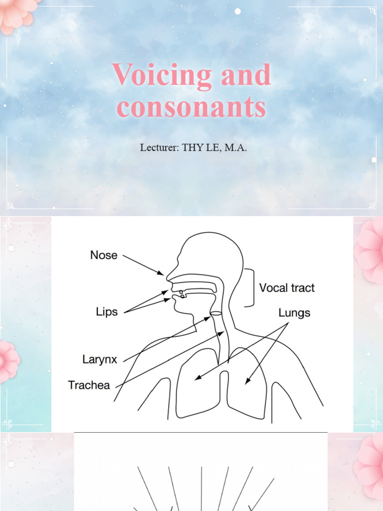 Voicing and Consonants | PDF | Larynx | Human Voice