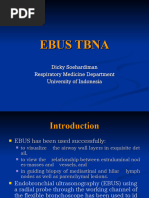 EBUS TBNA: Vascular Navigation Guide | PDF