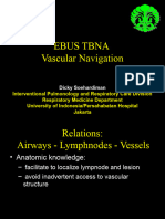 EBUS Mediastinal LN Mapping Guide | PDF | Lung | Respiration