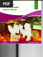 Ventures English GR 6 | PDF | Verb | Trees