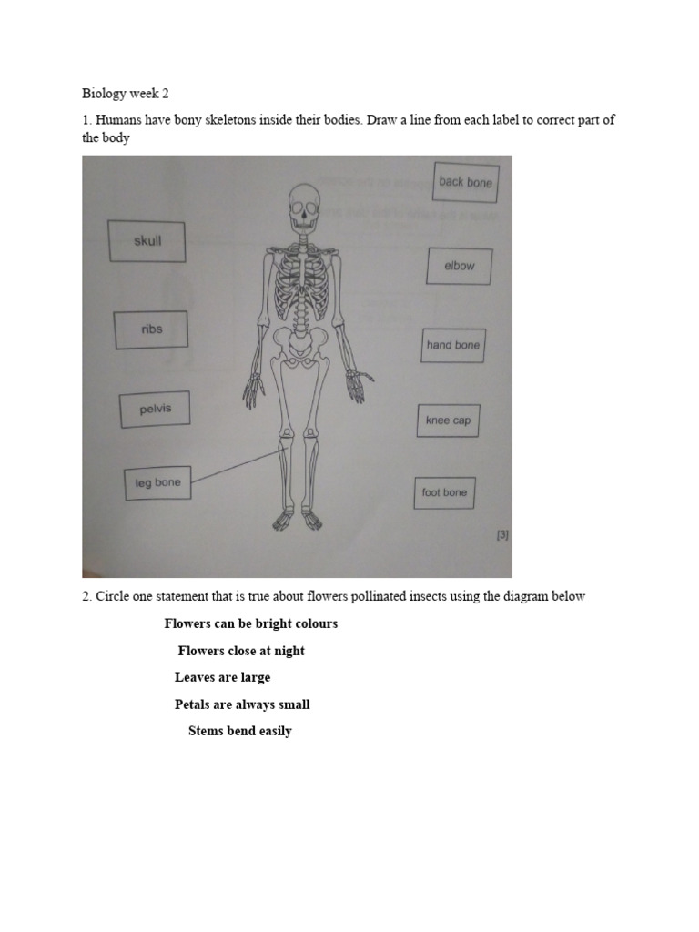 Biology Week 2 | PDF