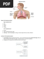 Respiratory System Study Guide | PDF | Exhalation | Respiratory Tract