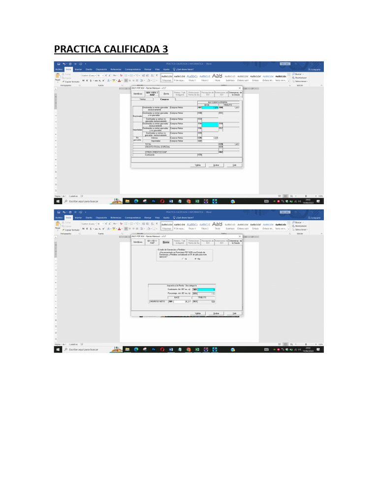 Practica Calificada 3 Informatica | PDF