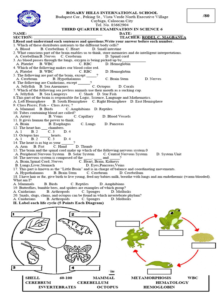 3RD QUARTER EXAM IN SCIENCE 6 | PDF