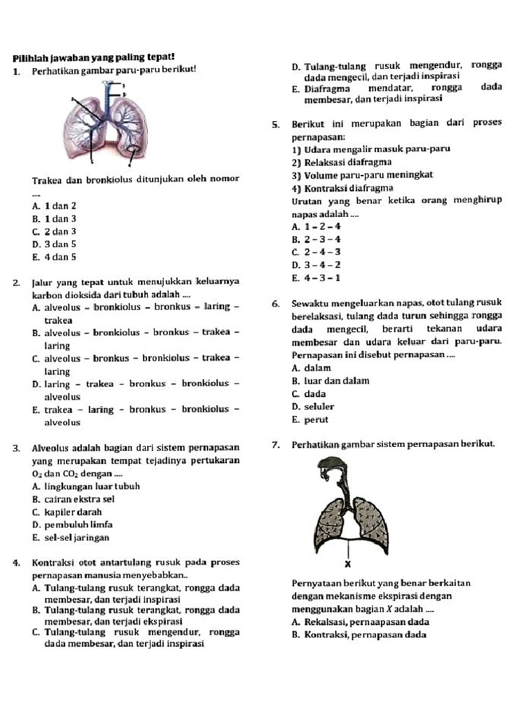 Soal IPA Bab Sistem Gerak Dan Respirasi A | PDF